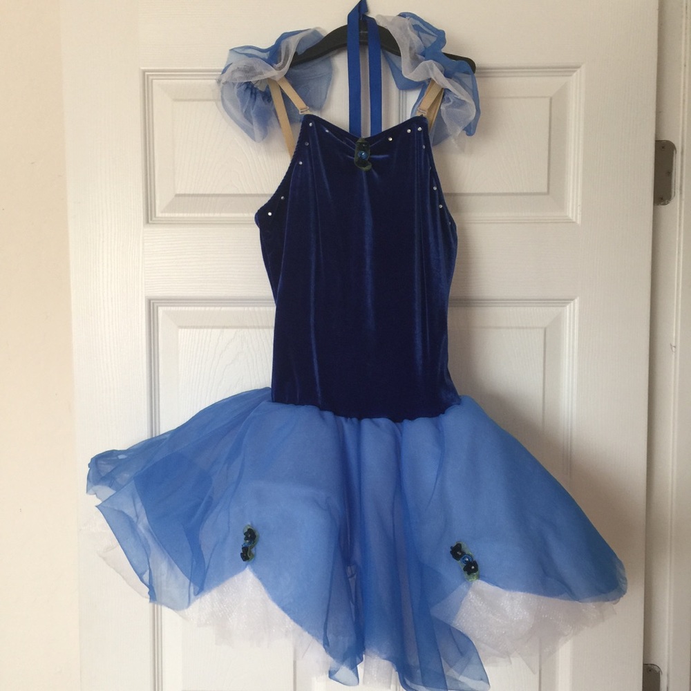 Ballet Dance Performance Dress Costume - Gem